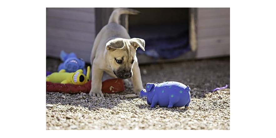 Multipet's 9" Polka Dot Globlet Pig Dog Toy