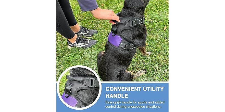 The Inquisitive Canine The North Star Dog Harness