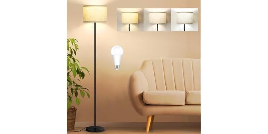 VerRon 3 Color Temperature Floor Lamp