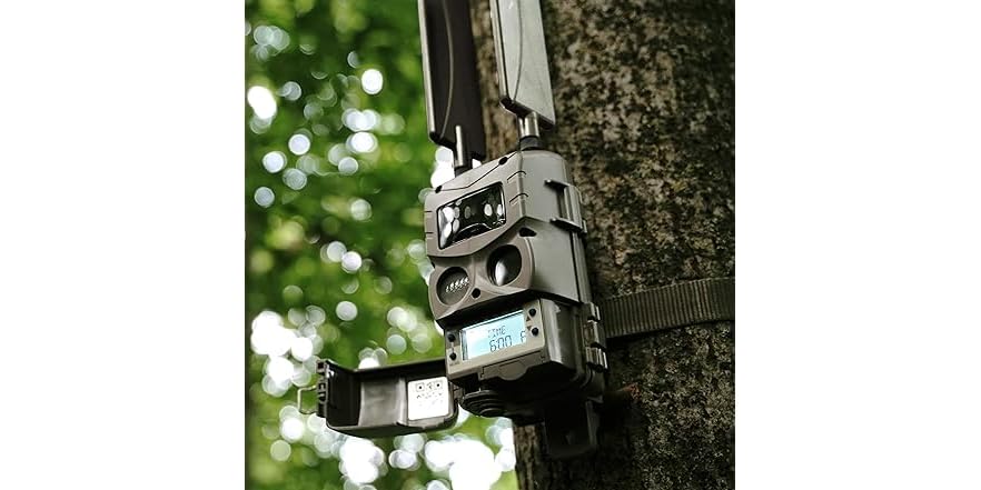 Cuddeback Tracks Solo Cell Camera