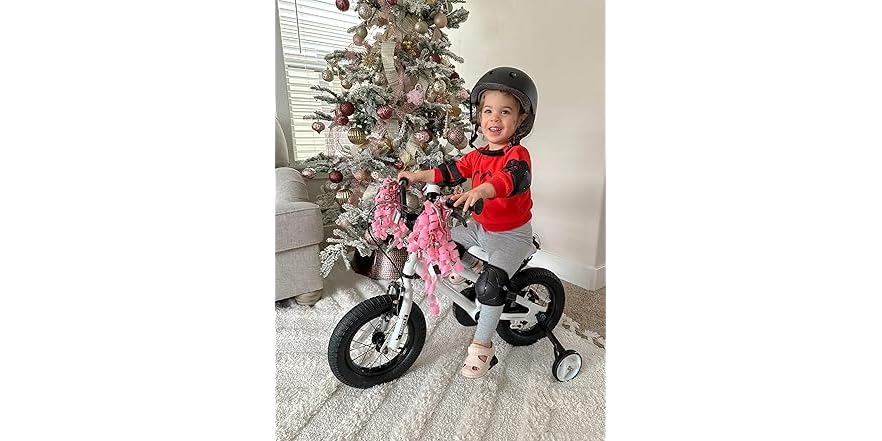 RoyalBaby Toddlers Bike 12 Inch Ages 3-4