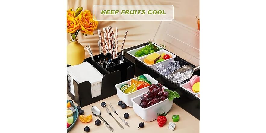 6 Compartment Condiment Container Bar