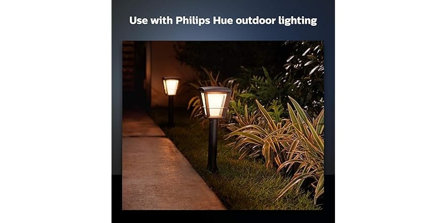 Philips Hue Outdoor 8-Foot Cable and T Connector