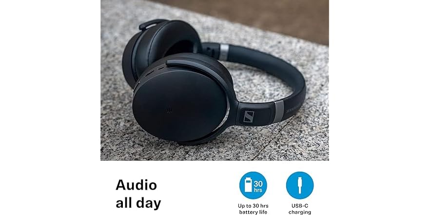 Sennheiser Consumer Audio HD 450SE Wireless Headphone