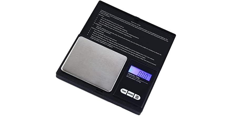 1000G x 0.1G Pocket Scale