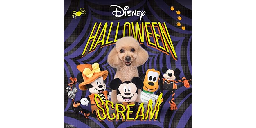 Disney Mickey Toy for Dogs