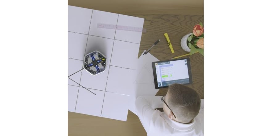 iRobot Root rt0 Coding Robot w/ Brick Top Bundle