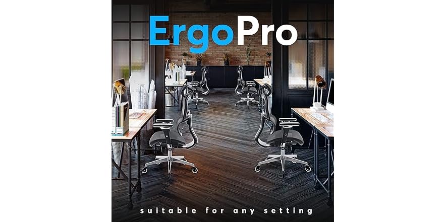 Oline Chair Oline ErgoPro Ergonomic Office Chair