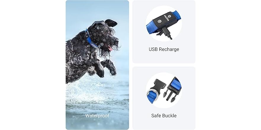 Tractive LED Light Up Dog Collar USB Rec