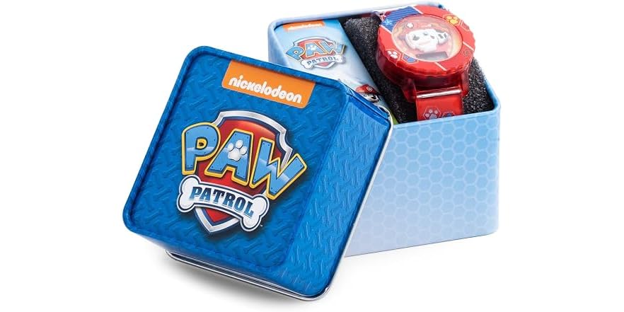 Accutime Nickelodeon Kids' Digital Case Watch