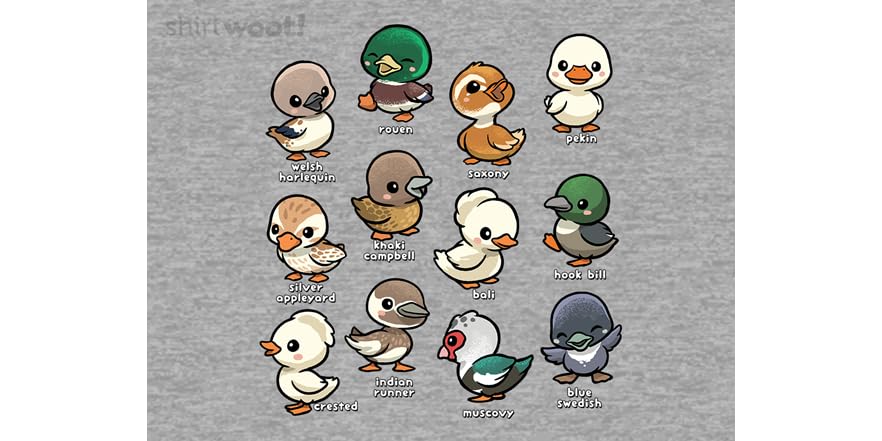 Cute Duck Breeds