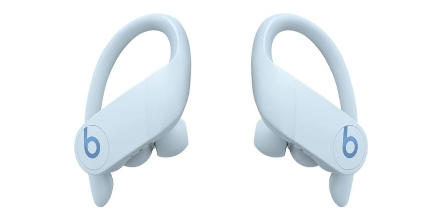 Beats Powerbeats Pro True Wireless Earbuds