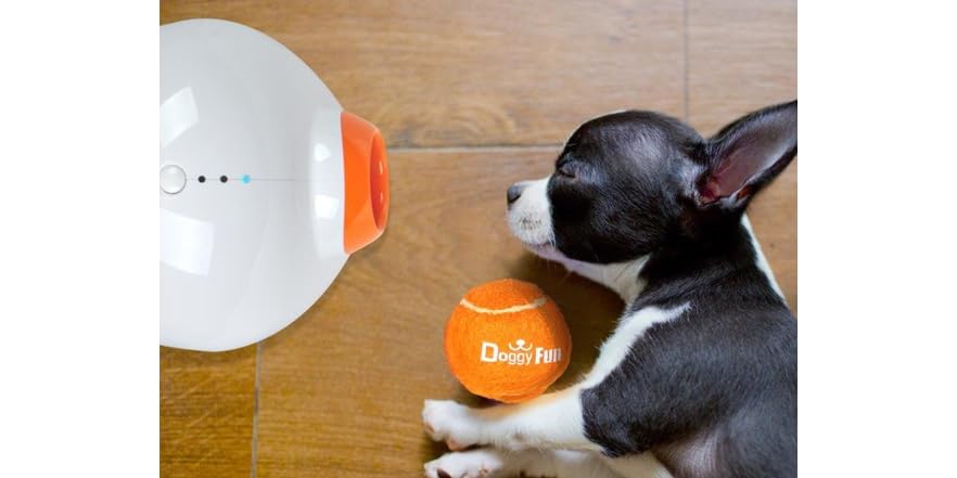 Automatic Ball Launcher Fetching Machine