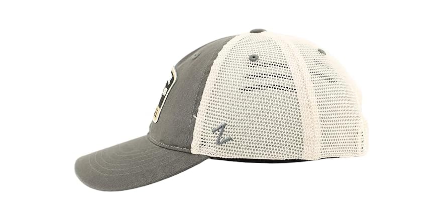 MICHIGAN WOLVERINES Hat Switchback