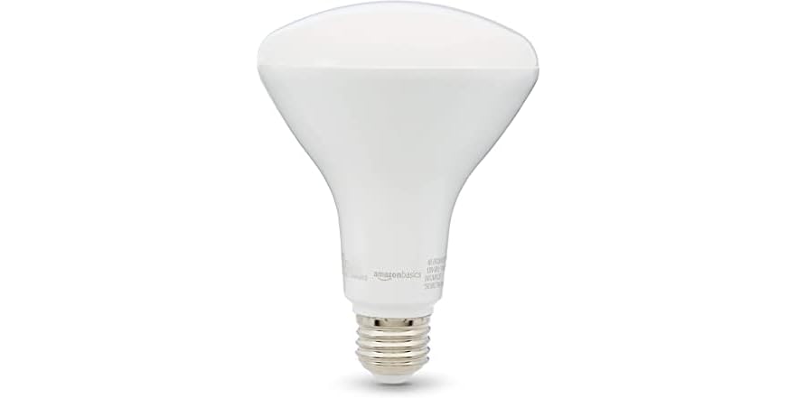 AmazonBasics 65-Watt BR30 LED Bulbs