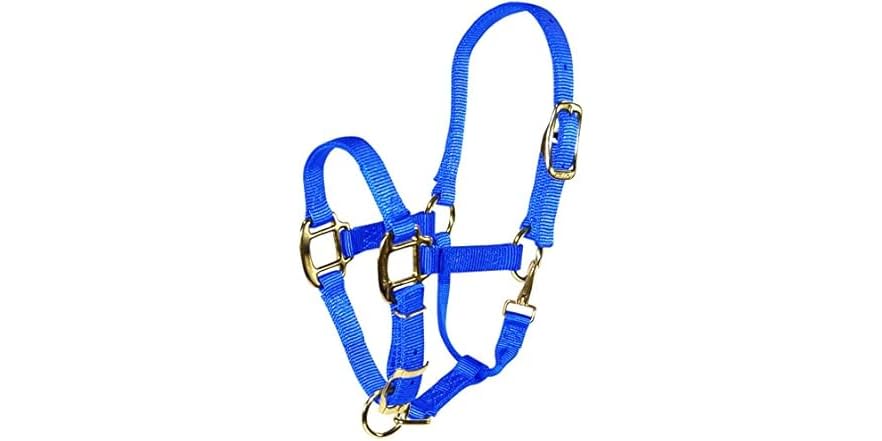 Hamilton Adjustable Weanling Halter
