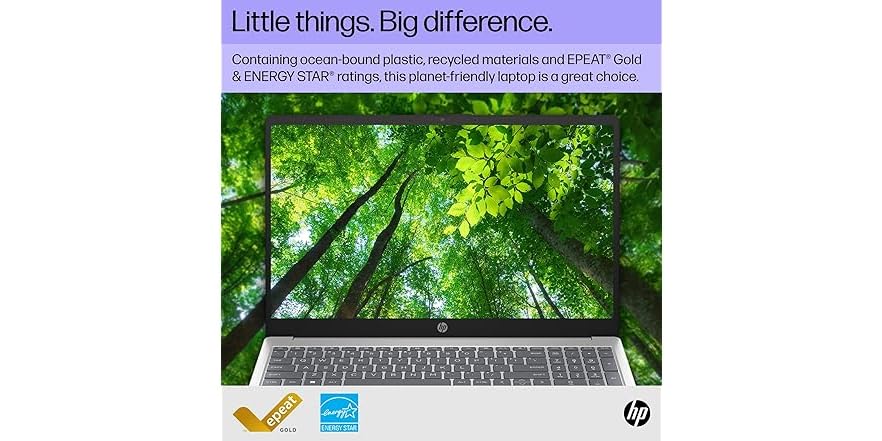 HP 15.6" Intel 13th Gen Laptop (2024)