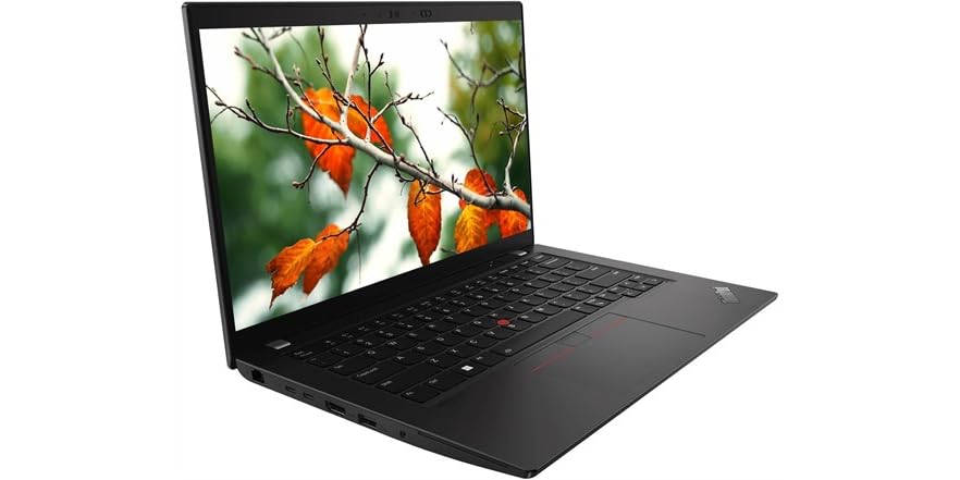 Lenovo ThinkPad L14 G1 Ryzen 3-4450U Laptop