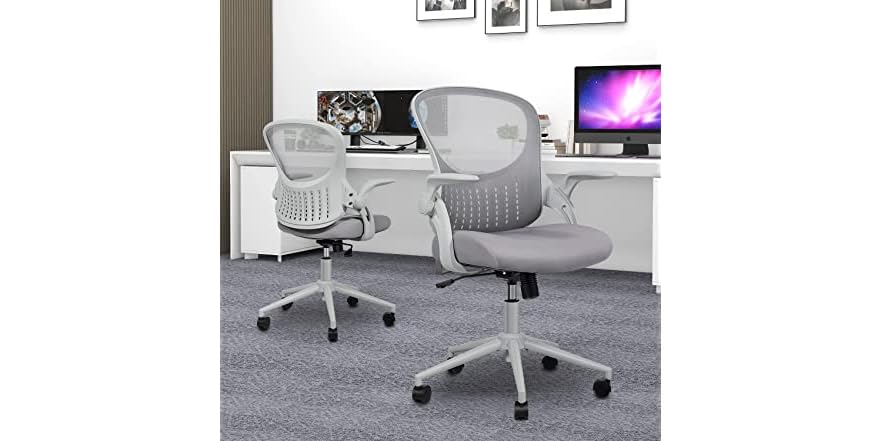 SMUG Home Office Ergonomic Desk Chair (Open Box)
