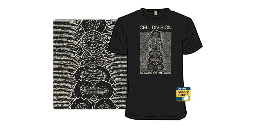 Cell Division- Stages of Mitosis