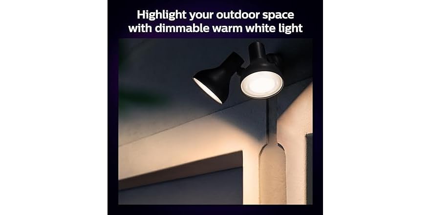 Philips Hue Smart 100W PAR38 LED Bulb