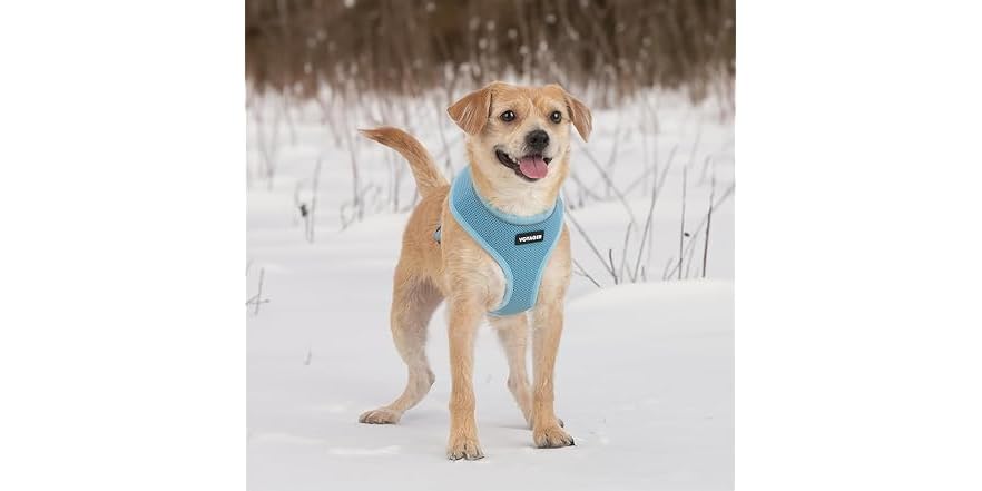Voyager Aerolite No Pull Mesh Dog Harness, XS