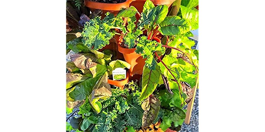 Mr. Stacky 5-Tier Strawberry Planter Pot
