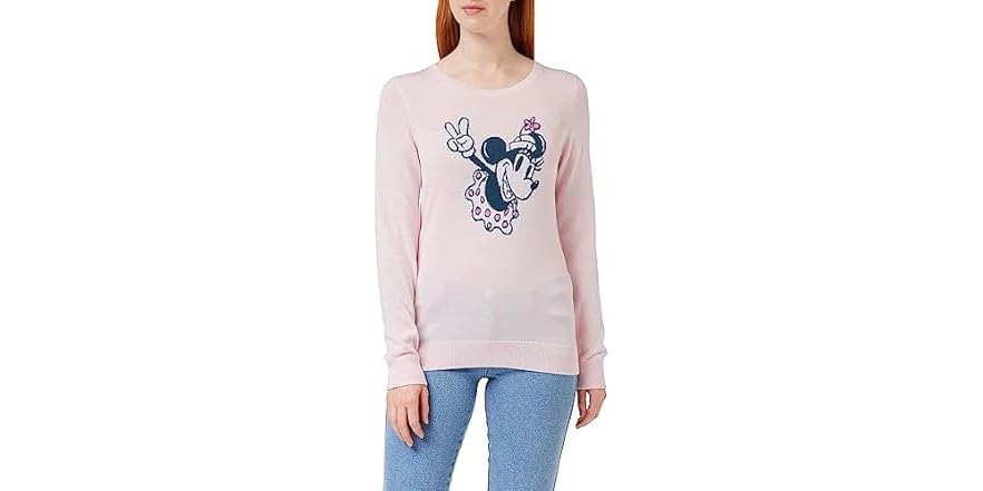 Amazon Women's Disney Sweater