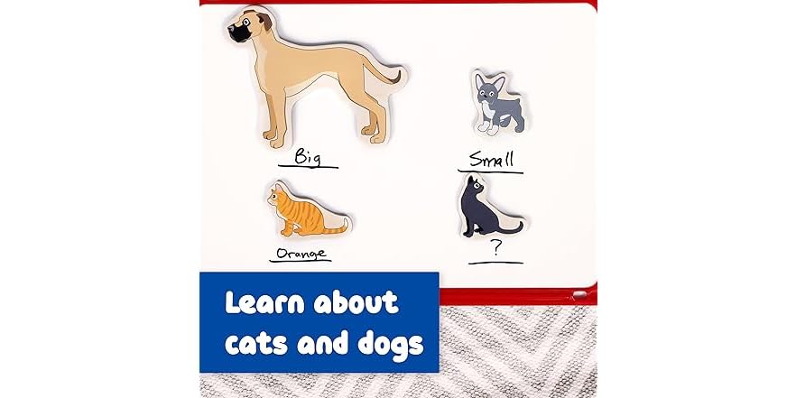 SPARK & WOW SPARK & WOW Wooden Magnets - Cats & Dogs