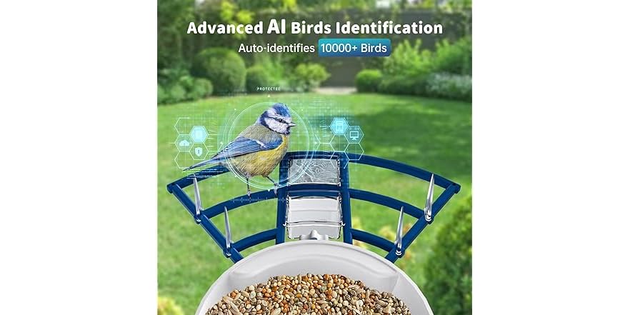 NAVFS AI Smart Bird Feeder | 2K | 2.4Ghz (Open Box)