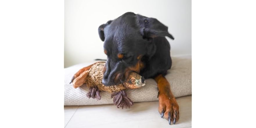Ropers Beaver Plush Dog Rope Pull Chew Tug Toy