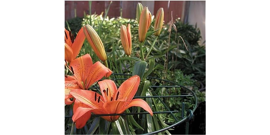 16” Grow Through Grid w/ 24” legs