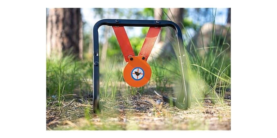 Mini Gong Steel Shooting Target .22 Caliber