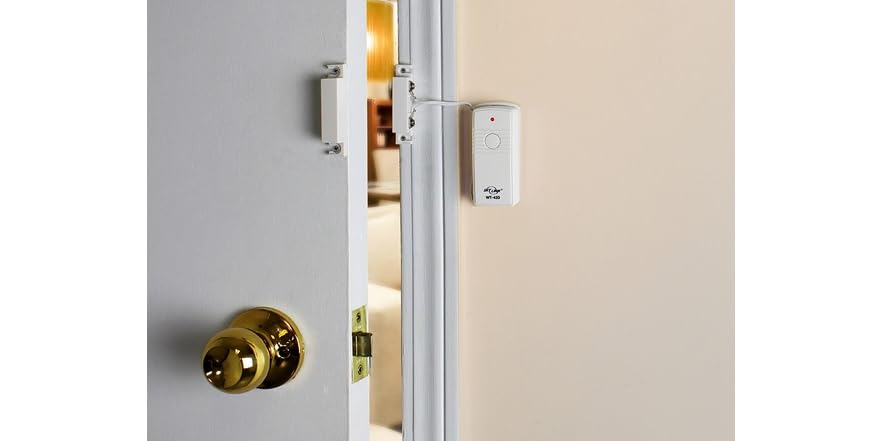 Skylink Security System