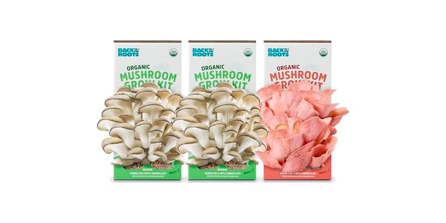 Back to the Roots Organic Mushroom Grow Kit 3-Pack