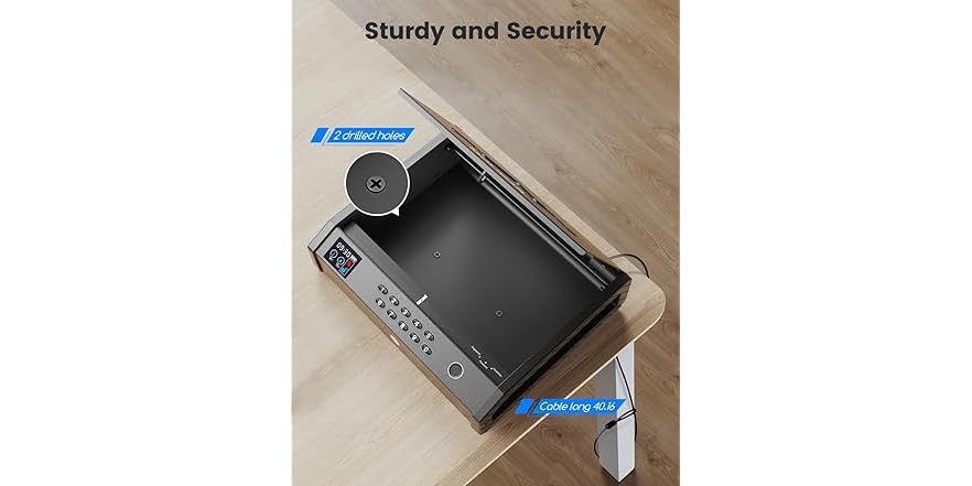 MOLICAR Biometric Gun Safe, 443B