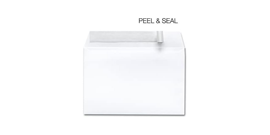 250 Envelopes Self Seal 6x9 White