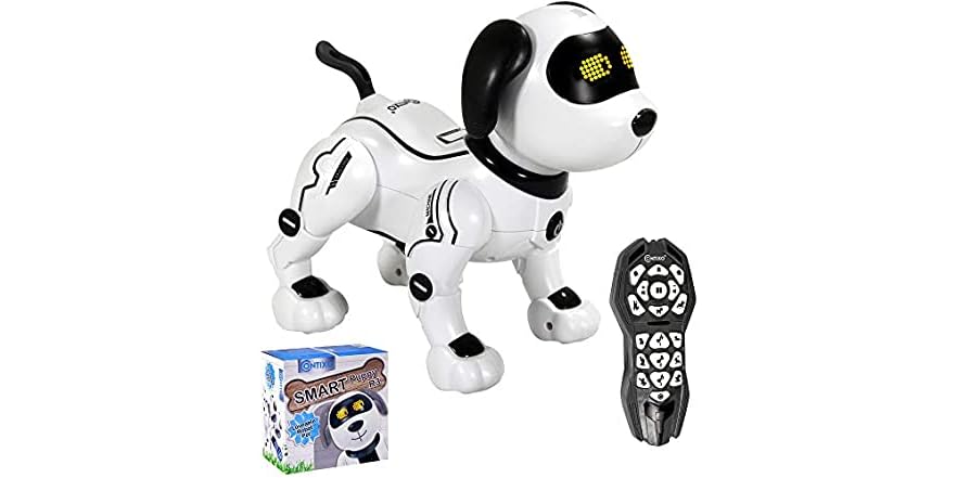 Contixo R3 Black Contixo Robot Dog