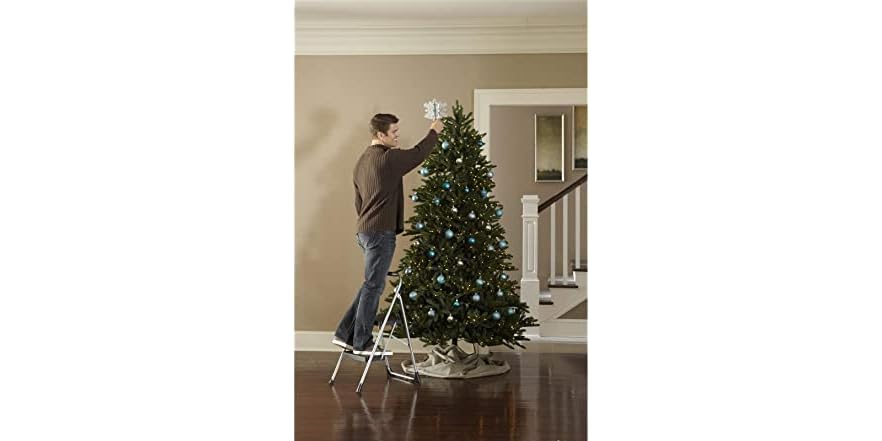 Cosco Two Step Big Step Folding Ladder (Gray)
