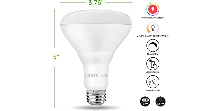 LE LED WiFi Smart Flood Light Bulbs