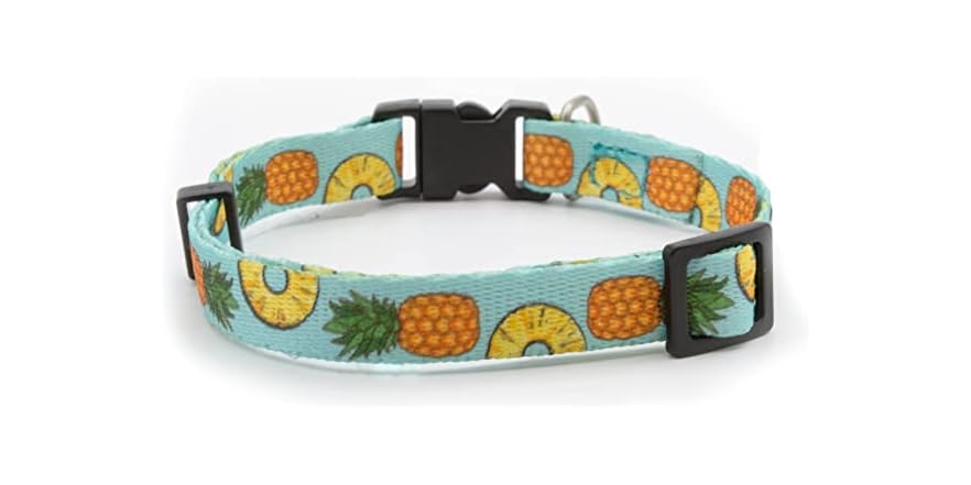 Max & Molly Cat Collar with Bell