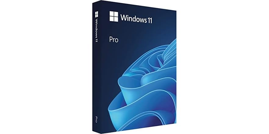 Microsoft Windows 11 Home or Pro (Your Choice)