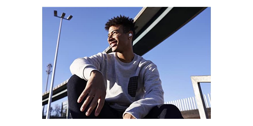 JBL LIVE 300 Premium True Wireless Earbuds