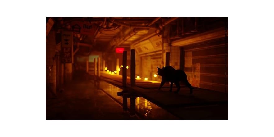 Stray