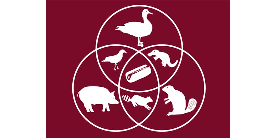 Venn Vittles