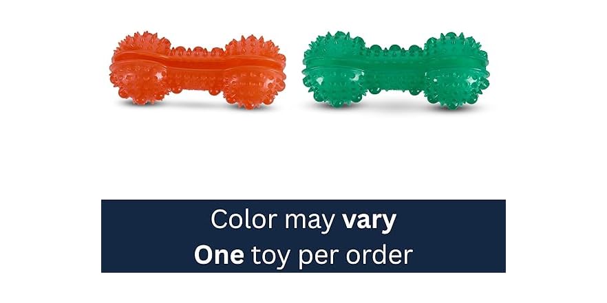 AKC 2-Pack TPR Treat Toys – Vanilla Scented Bone & Ball