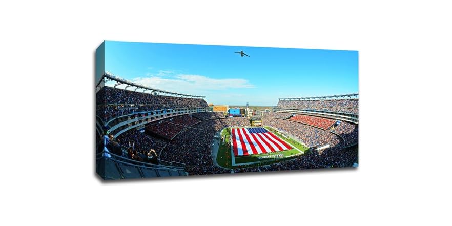 NFL 40x22 Football Stadium Canvas