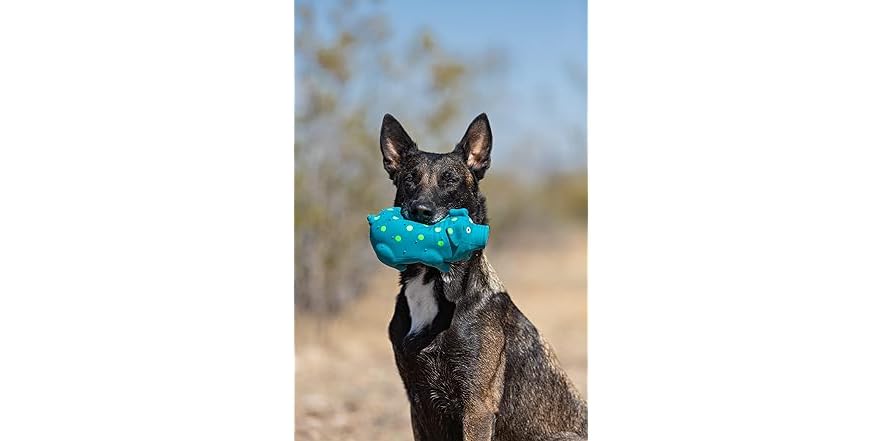 Multipet's 9-Inch Polka Dot Globlet Pig Dog Toy