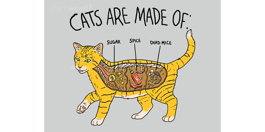 Cat Anatomy