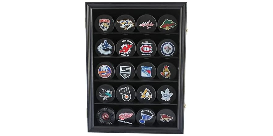 Hockey Puck Display Case Wall Cabinet